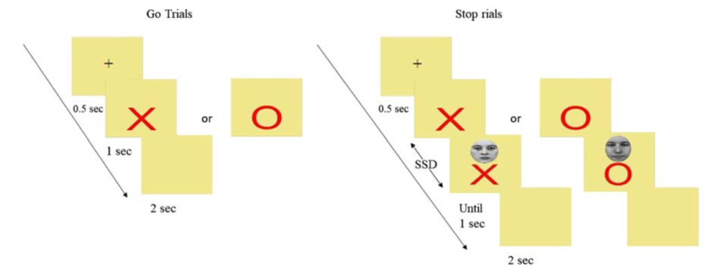 Research areas – Centre of Behavioural and Cognitive Sciences (CBCS)